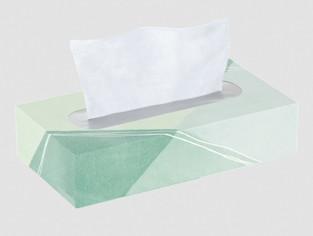 Kirkland Signature Facial Tissue, 110 Count New In Box